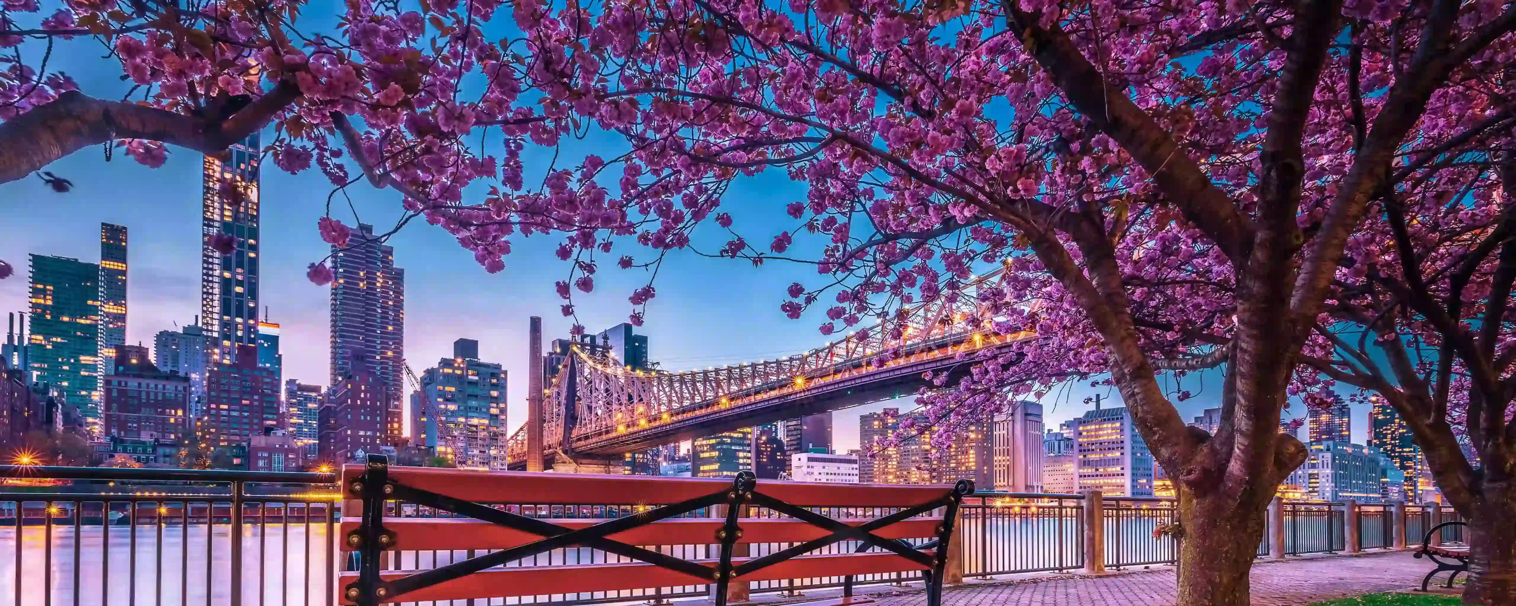 14 Most In-demand Programming Languages for 2025