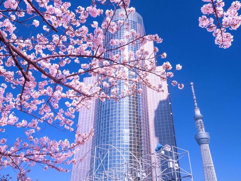 IoT in Telecom: Use Cases, Examples & Implementation Guide