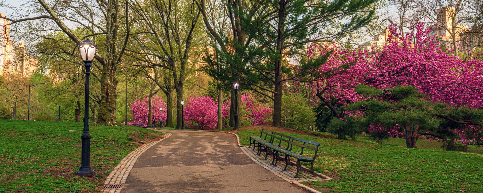 UiPath vs Power Automate: Comparison and a Selection Guide