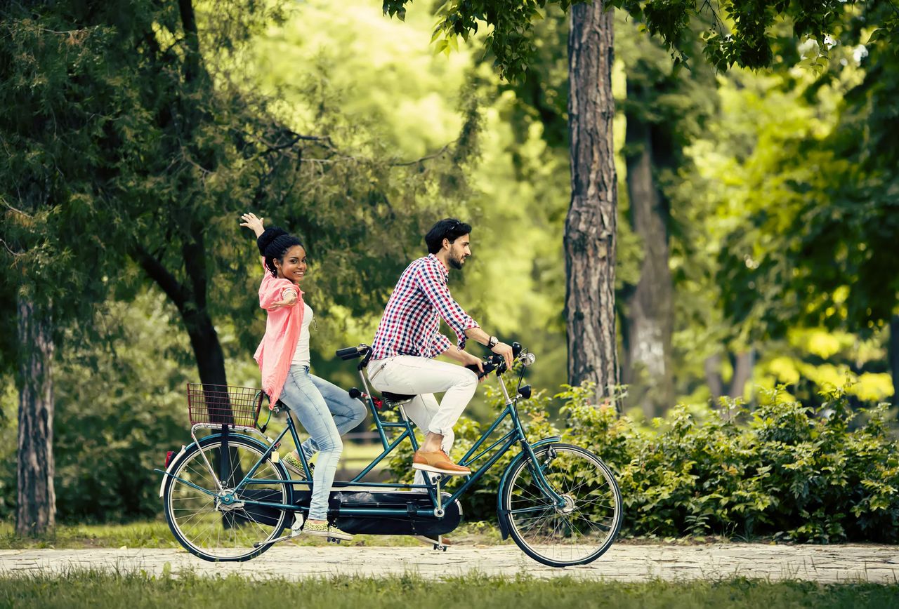 Insurance Portals: Features, Types and Development Tips