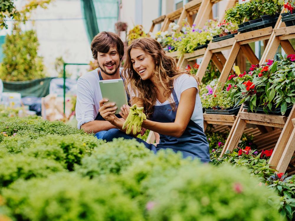 ML PoC for a Plant Pathology Recognition Solution