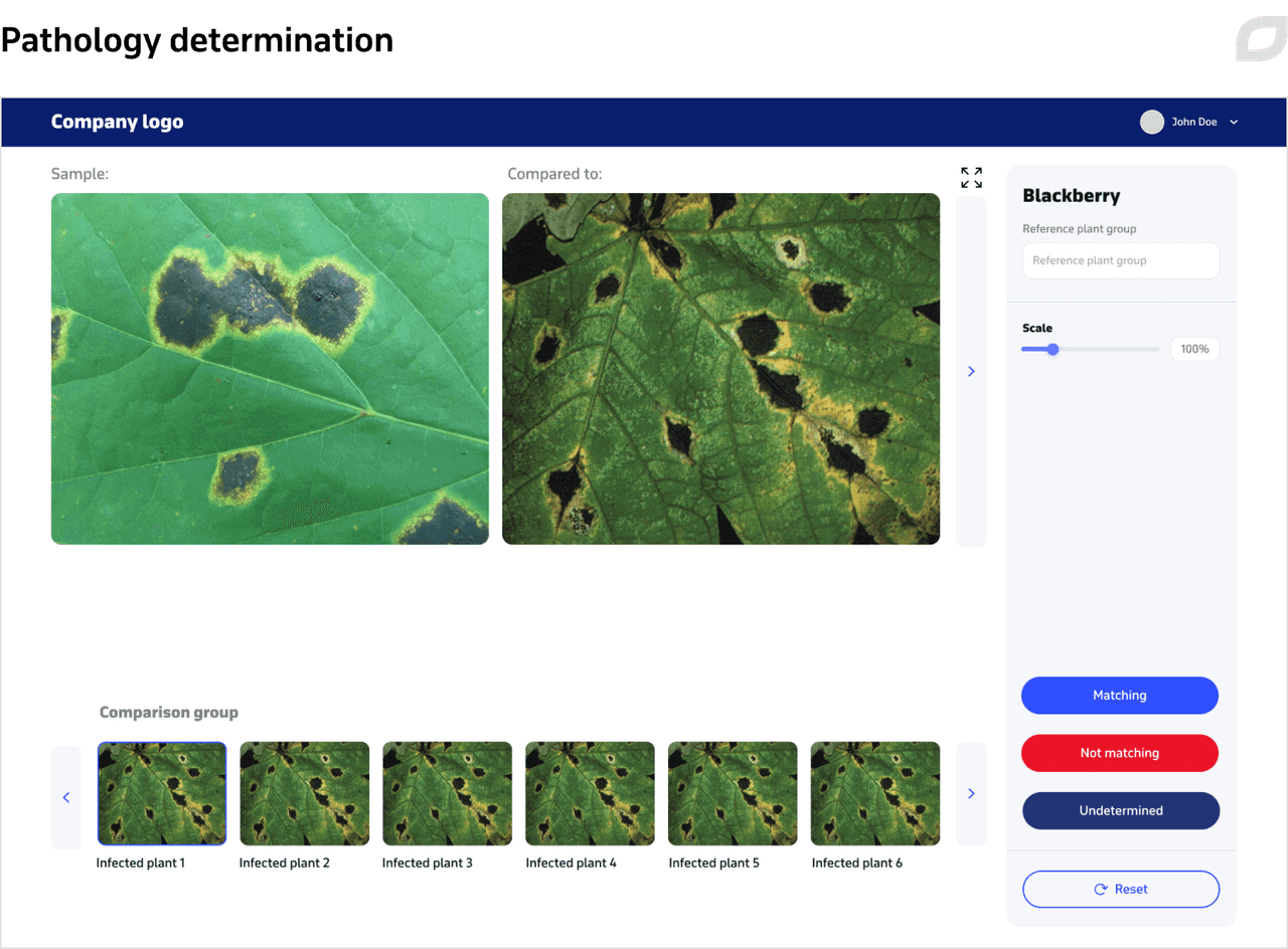 ML PoC for a Plant Pathology Recognition Solution