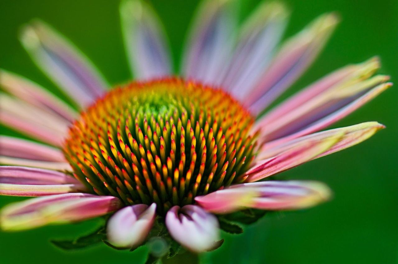 AI in Social Media: Use Cases, Top Tools, and Challenges