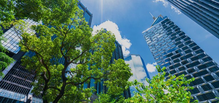 Cloud-based ERP Software Solutions: the Ultimate Guide