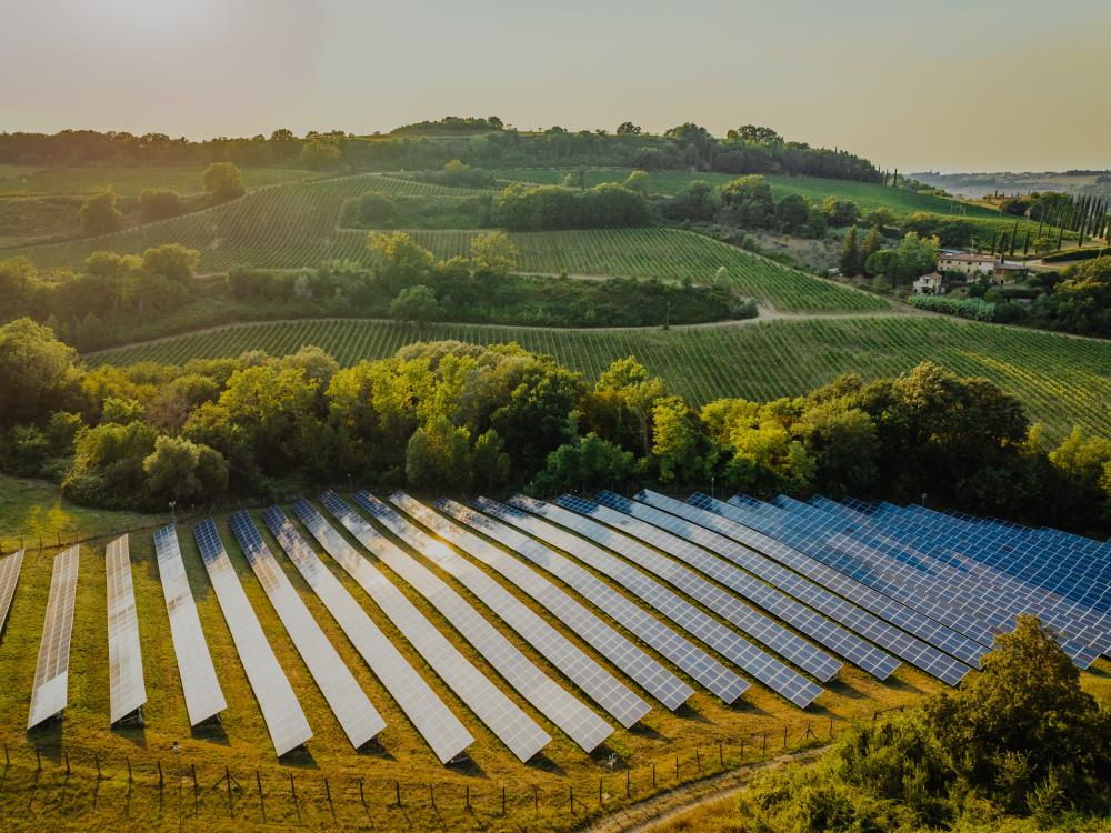 BPM solution for a solar energy device manufacturer