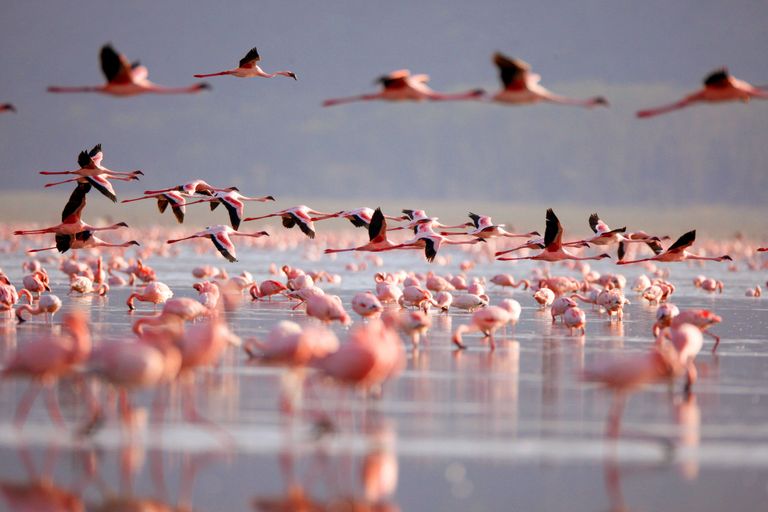 AWS Cloud Migration Strategies: the 7Rs, Best Practices, & Tools