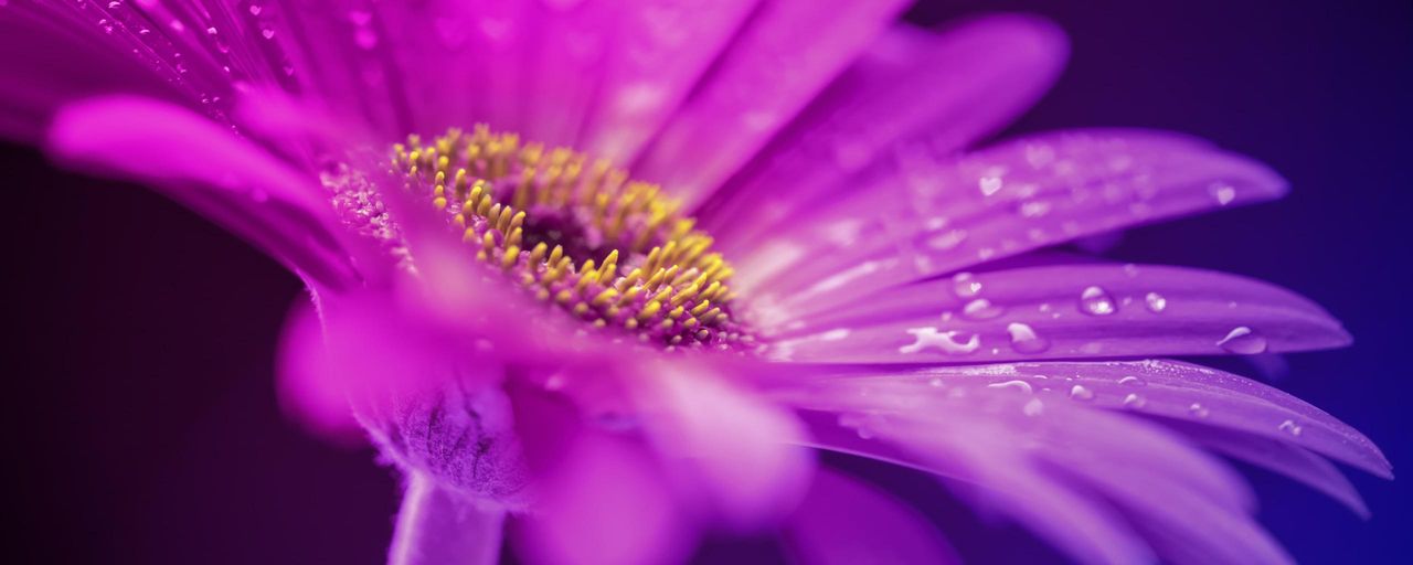 Custom Software Development Company - Itransition