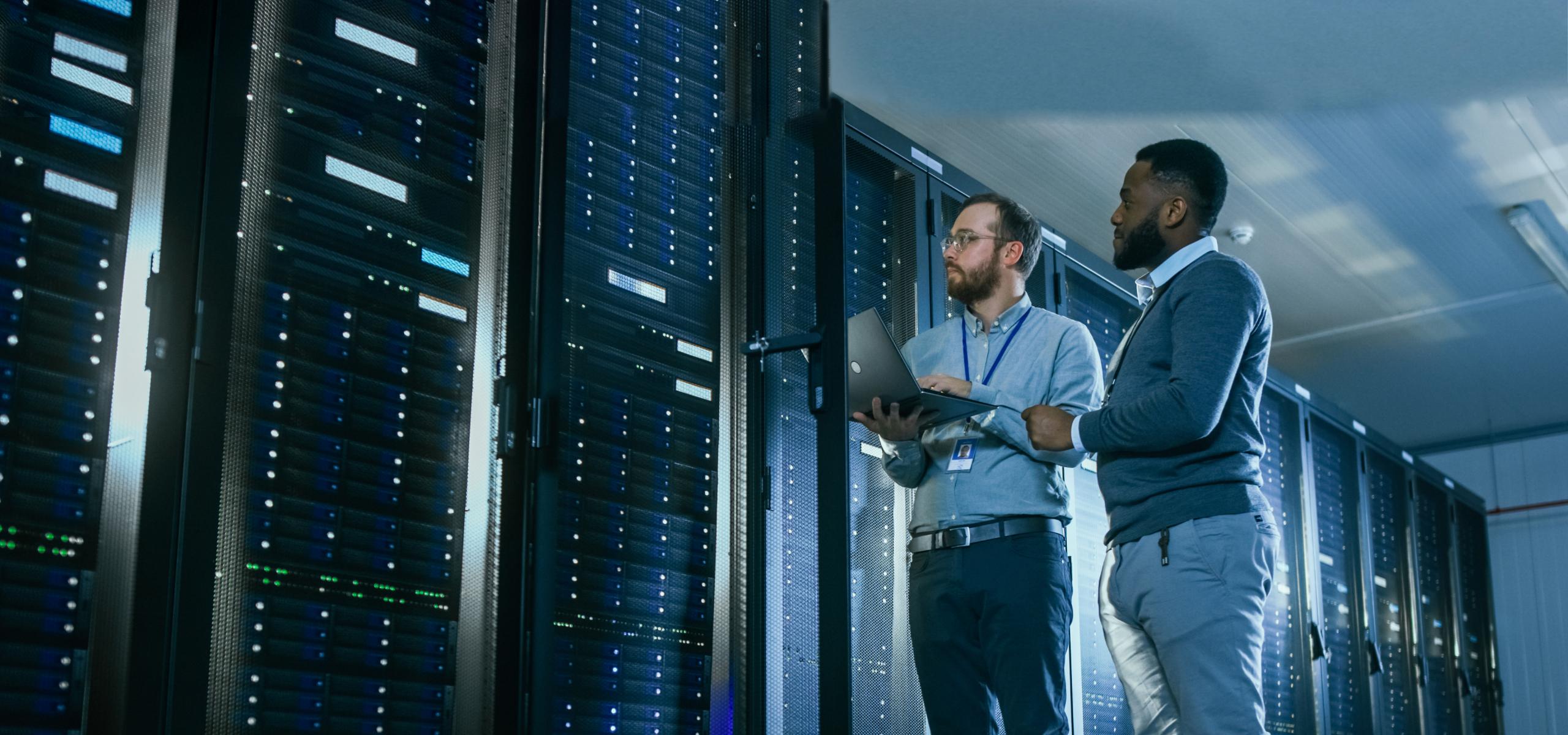 Software Maintenance and Support Services