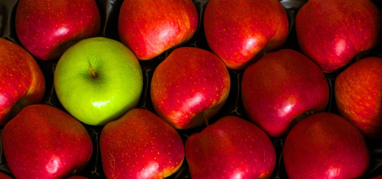 EHR vs EMR: Differences, Similarities & Implementation Tips