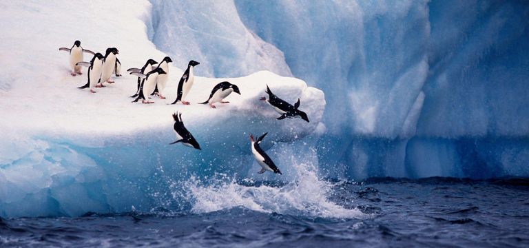 AWS Cloud Migration Strategies: the 7Rs, Best Practices, & Tools